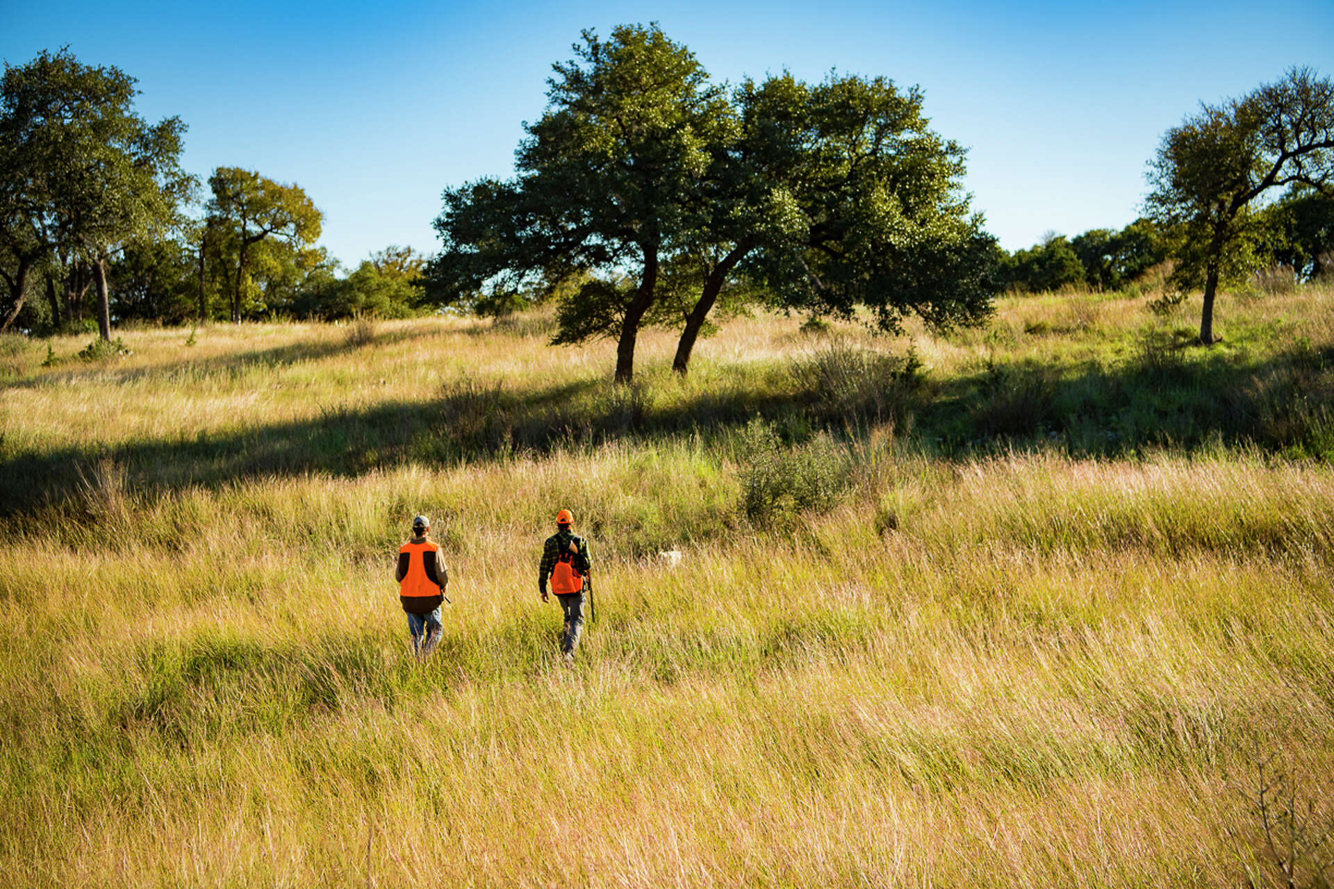 Joshua Creek Ranch in Boerne a top US hunting destination