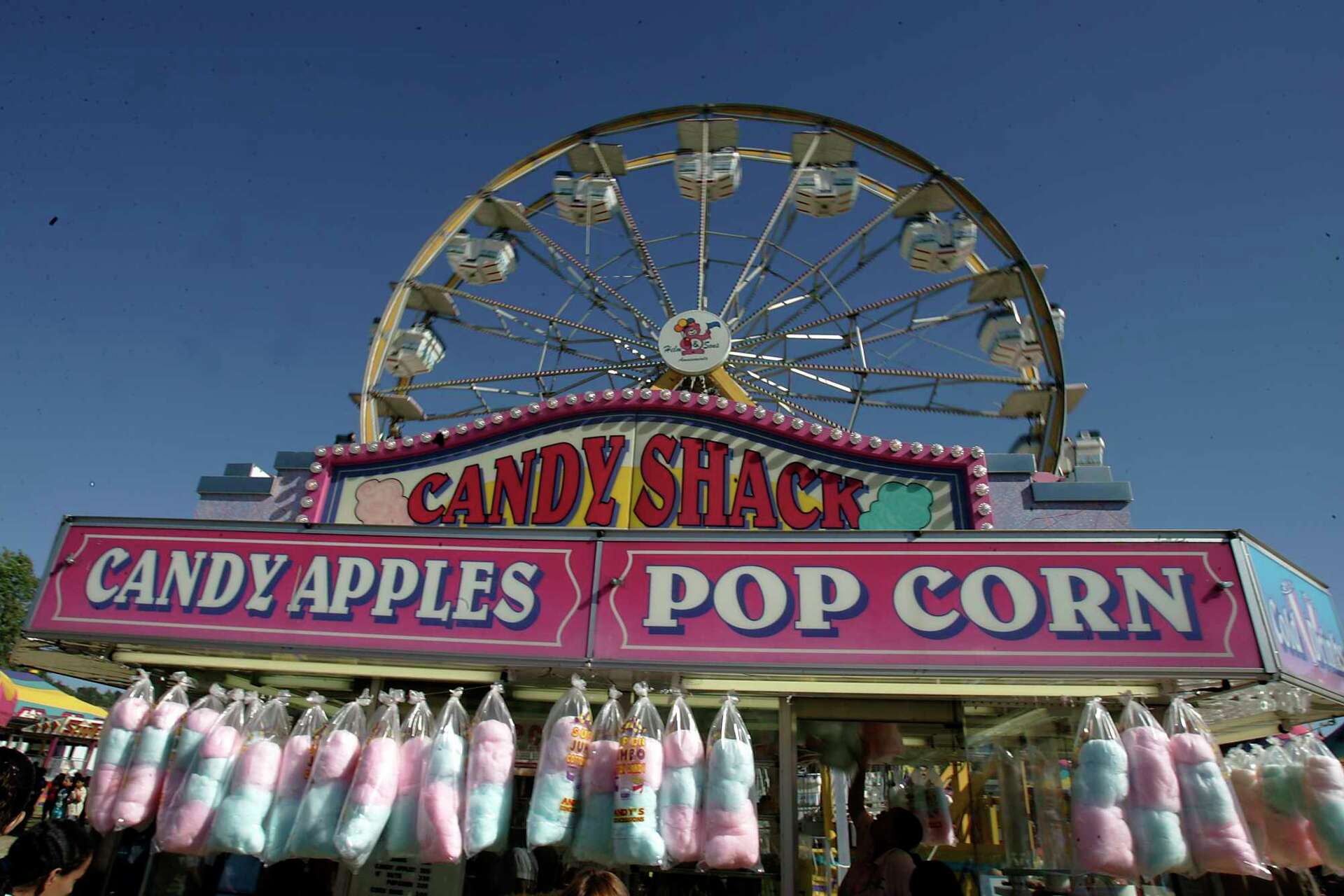 Don’t miss these top 11 county and state fairs around the region