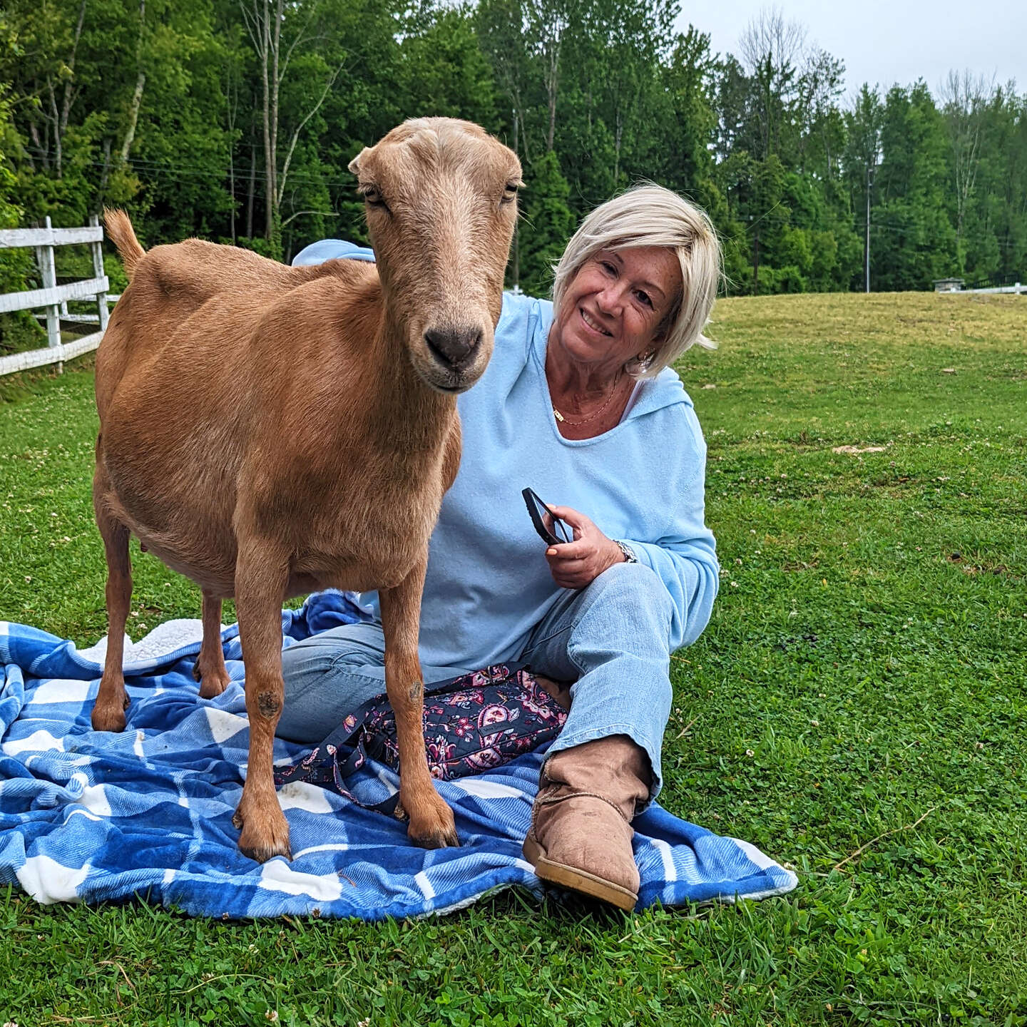 Syman Says Farm builds a community around goats in Connecticut