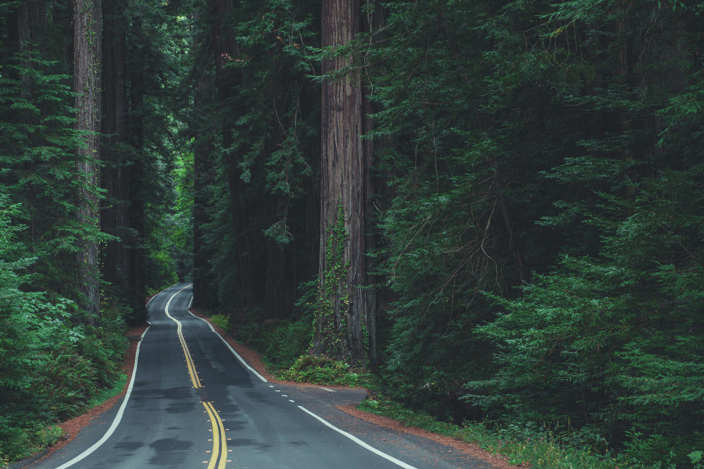 Travel | Latest News, Features and Guides