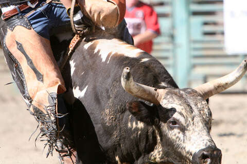 Rodeo rider dies after being bucked off bull in Wharton County