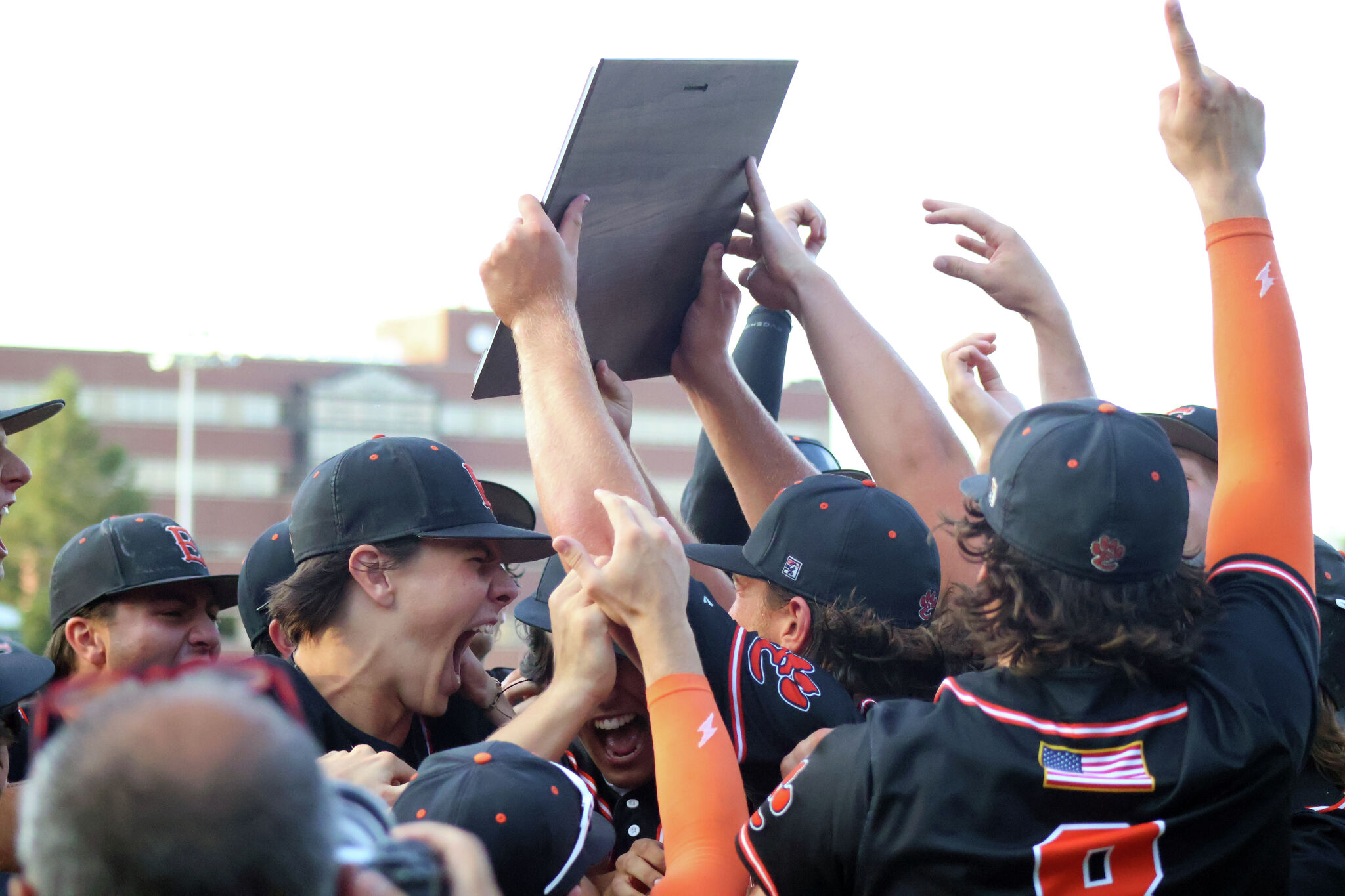 Edwardsville meets Providence Catholic in 4A baseball semifinals