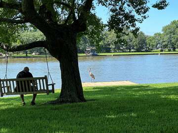 Conroe Art League artists capture Montgomery County's beauty
