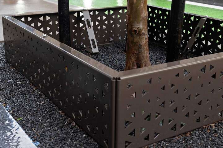 Behold the SF dogscape: How canines are transforming our city