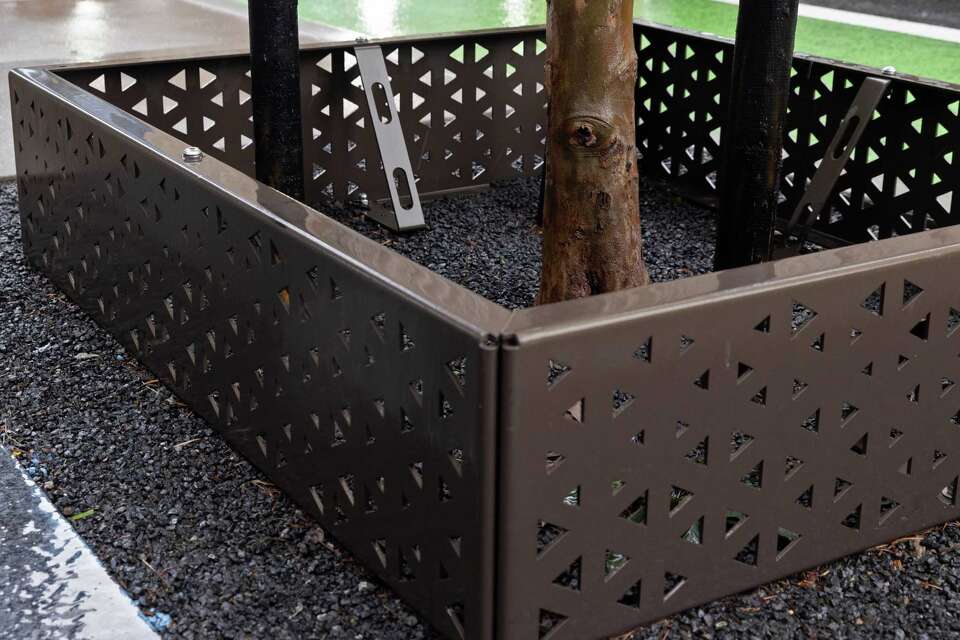 Behold the SF dogscape: How canines are transforming our city