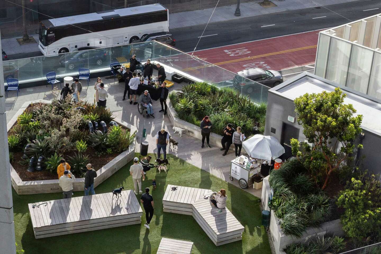 Behold the SF dogscape: How canines are transforming our city