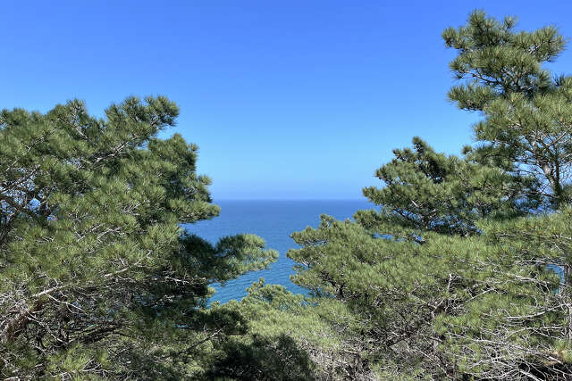First bit of good news arrives from devastating Santa Rosa Island Fire
