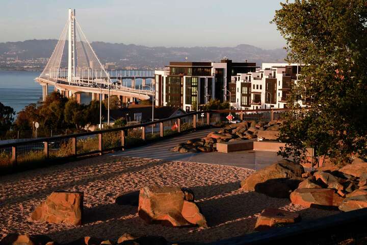 Behold the SF dogscape: How canines are transforming our city