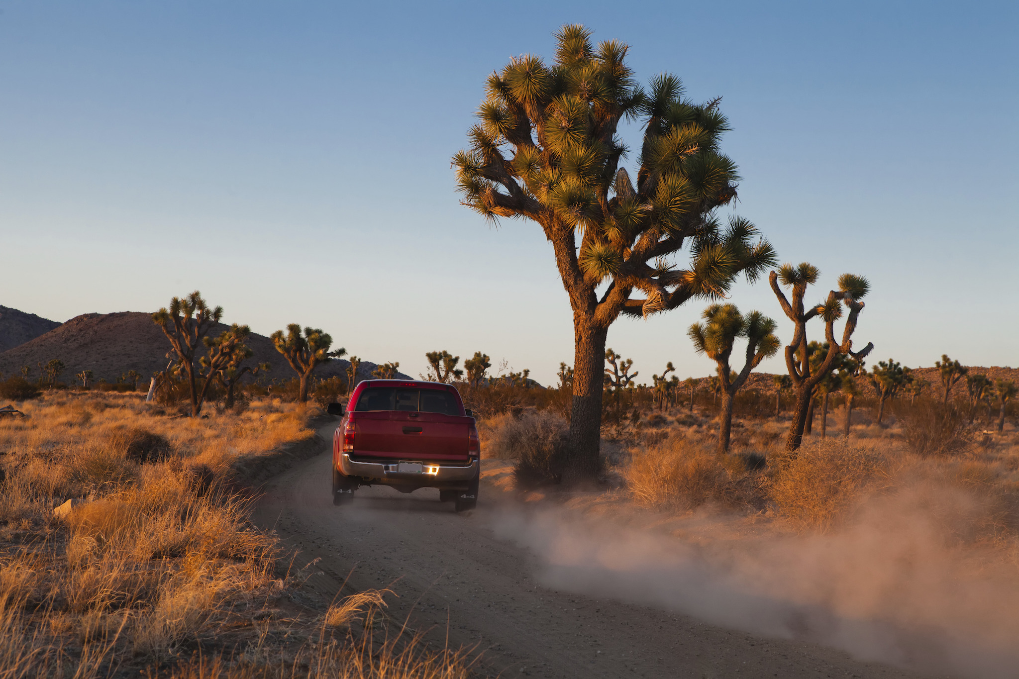 Part of Joshua Tree closed this weekend due to 'extreme fire danger'