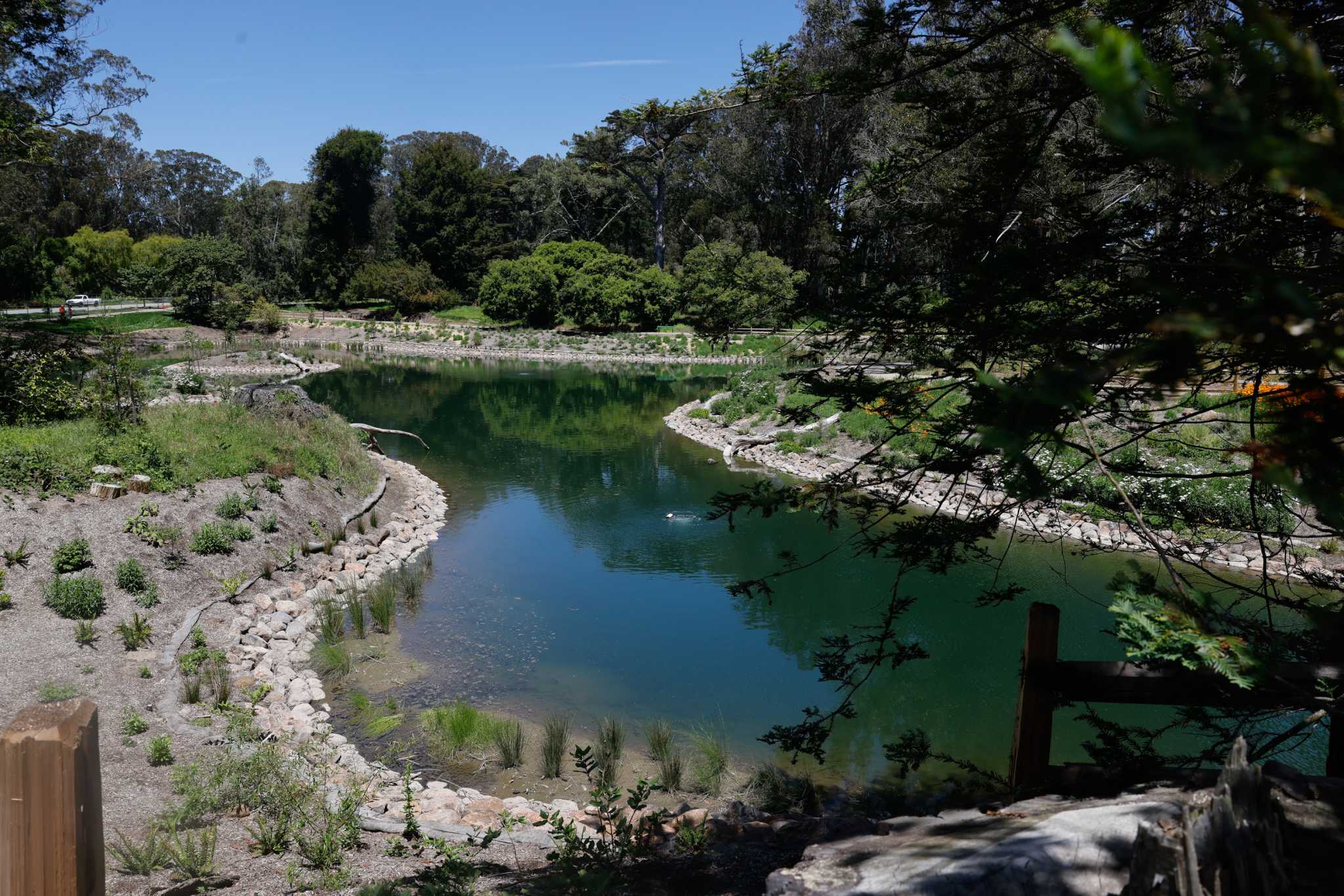 What caused Golden Gate Park’s Middle Lake to dry up?