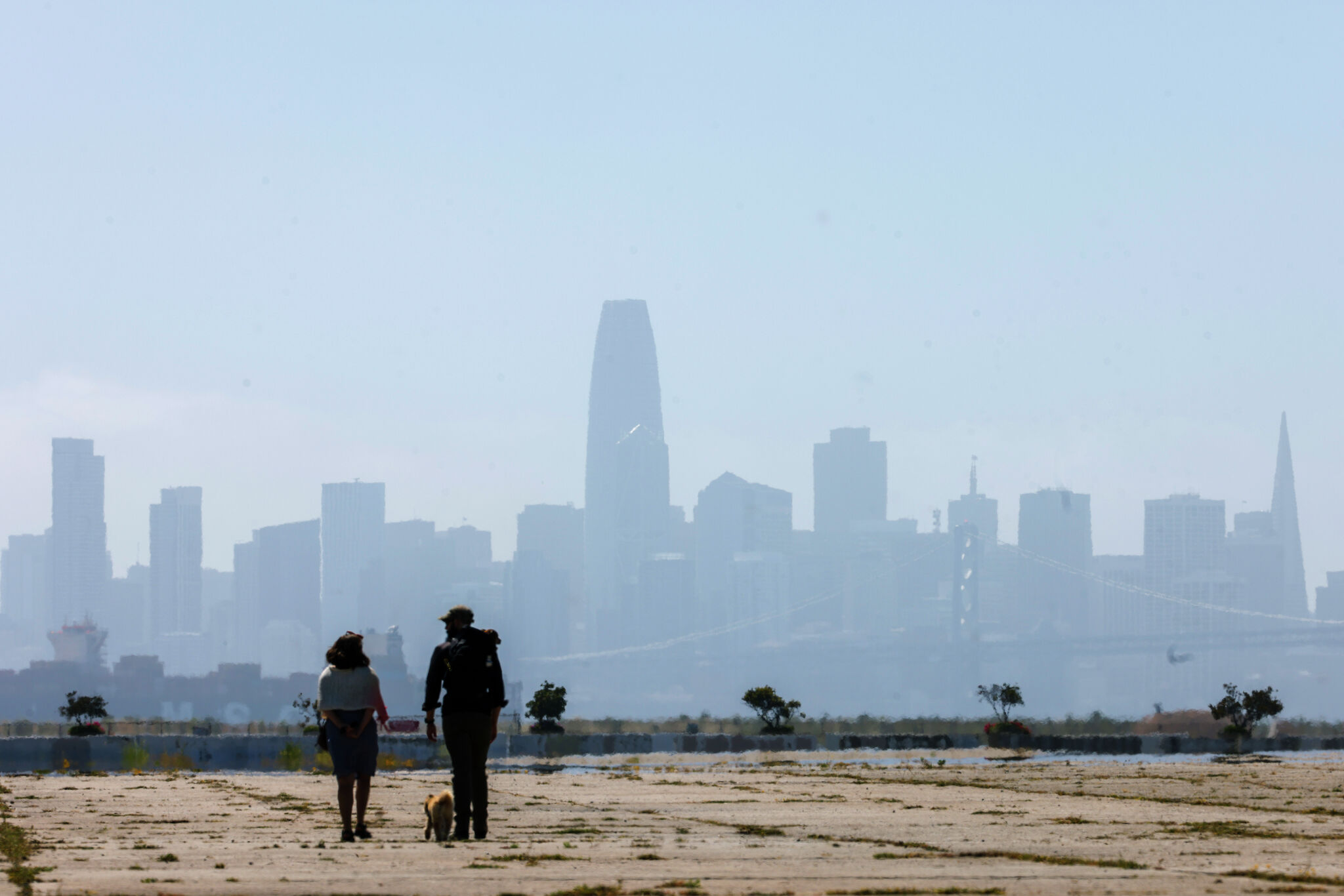 S.F. Bay Area skies are hazy for a strange reason