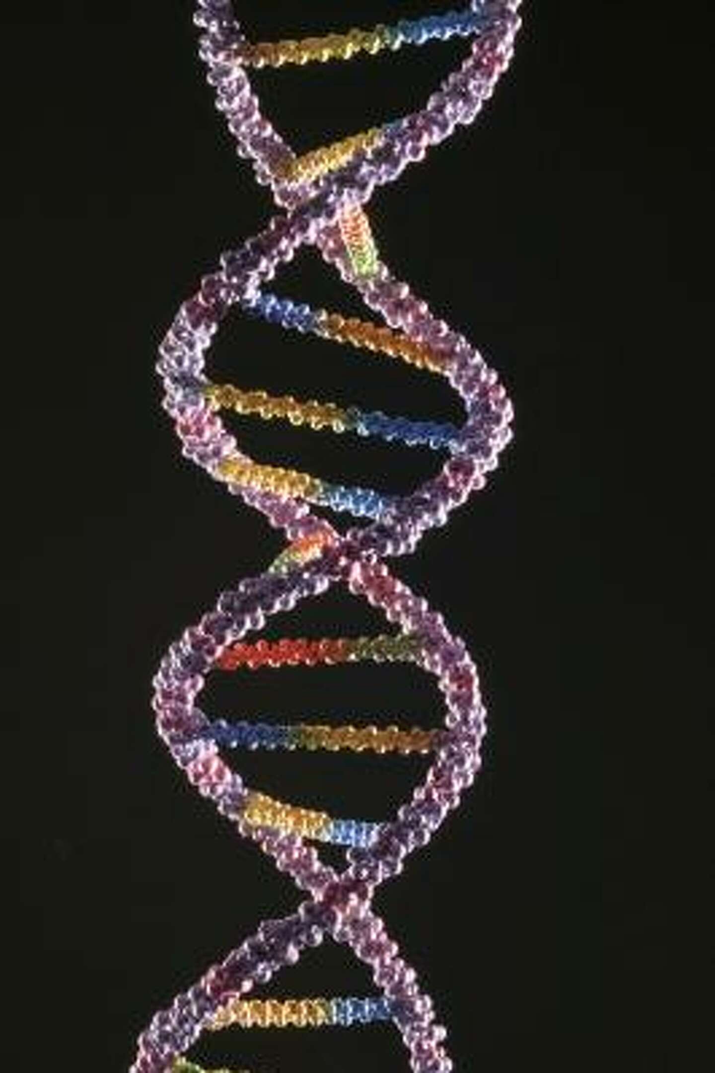 Three Main Steps in the Process of DNA Replication