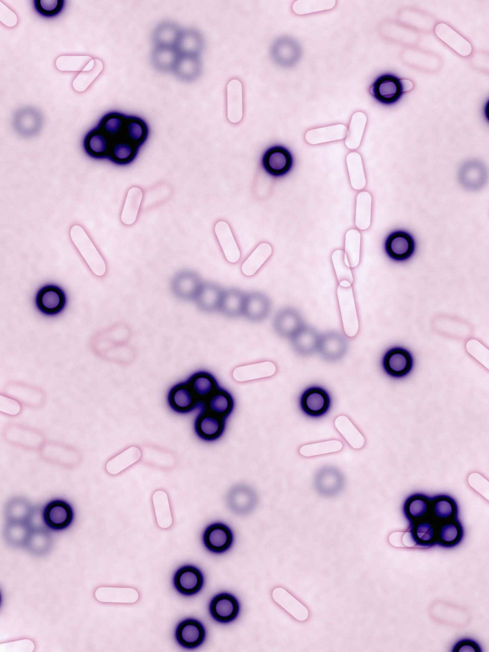 Types of Bacteria Living in Acidic pH