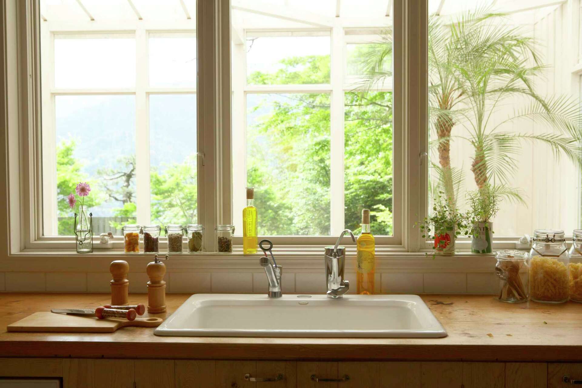 What Types of Bacteria Are Found in Wet Sinks?