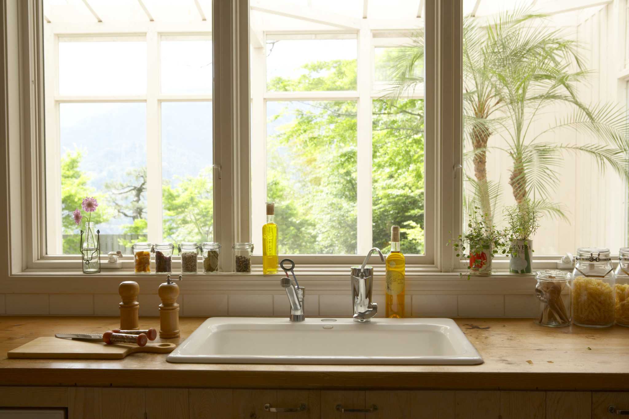 What Types of Bacteria Are Found in Wet Sinks?