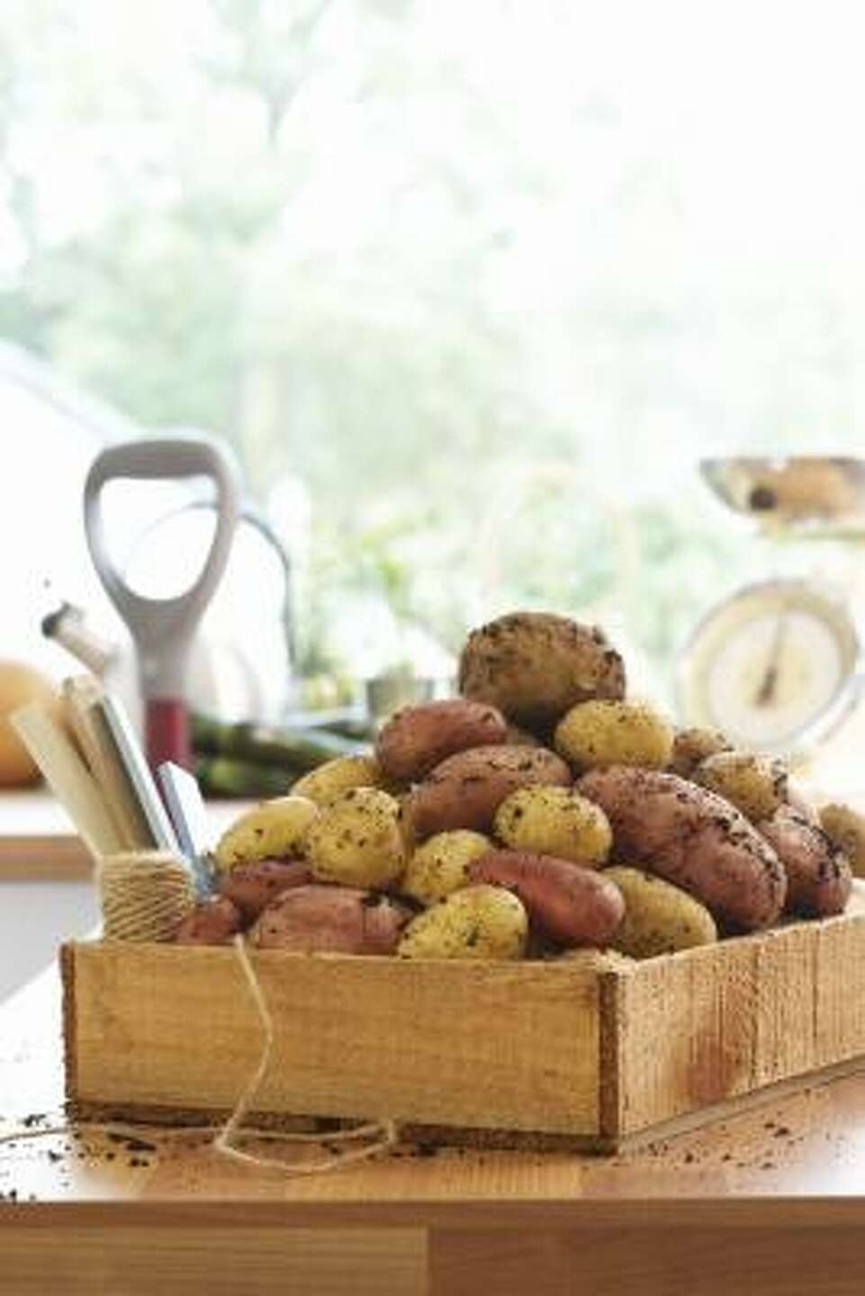 Catalase Enzymes in Potatoes