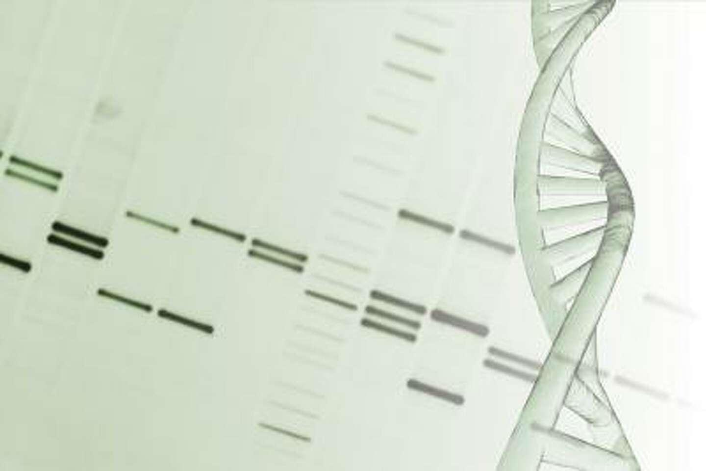 The Difference Between Qualitative & Quantitative Traits in Genetics