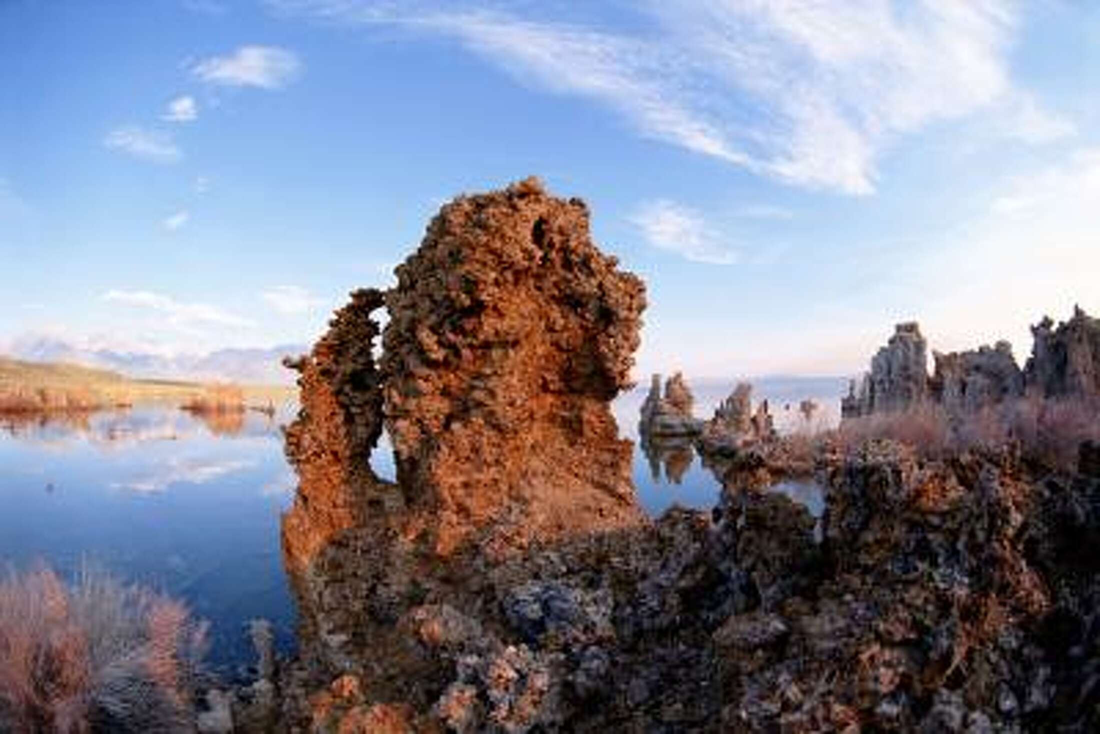 What Extremes of pH Are Compatible With Life?