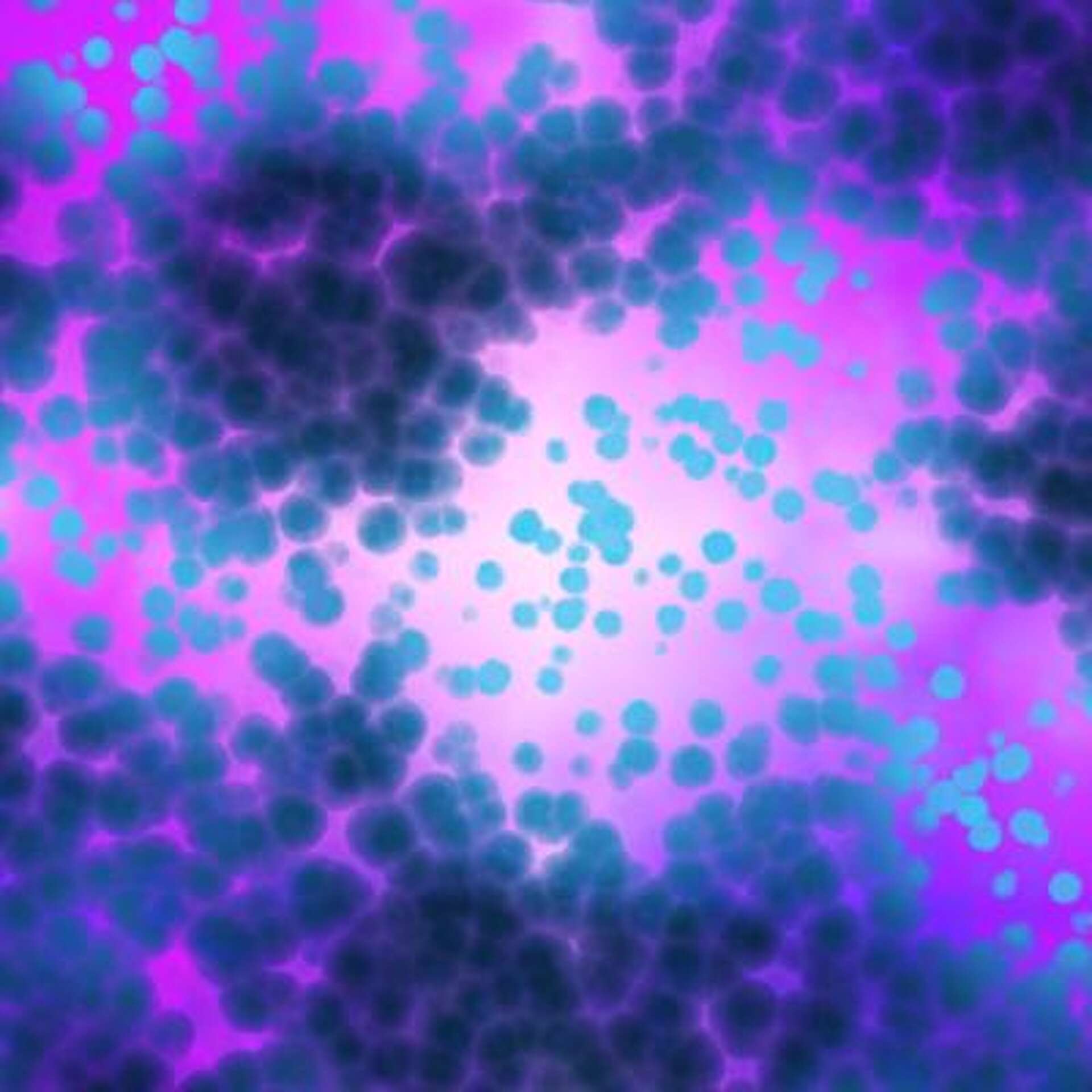 Factors That Affect Transformation Efficiency