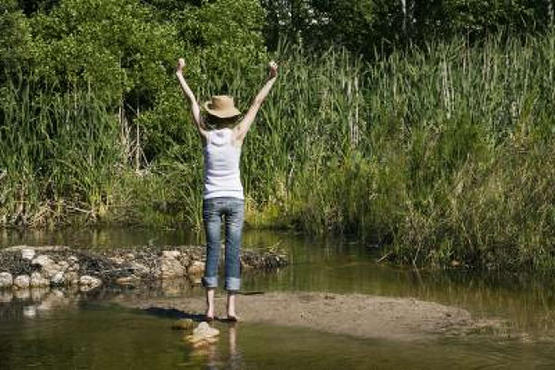 What Factors Affect the Carrying Capacity of an Environment?