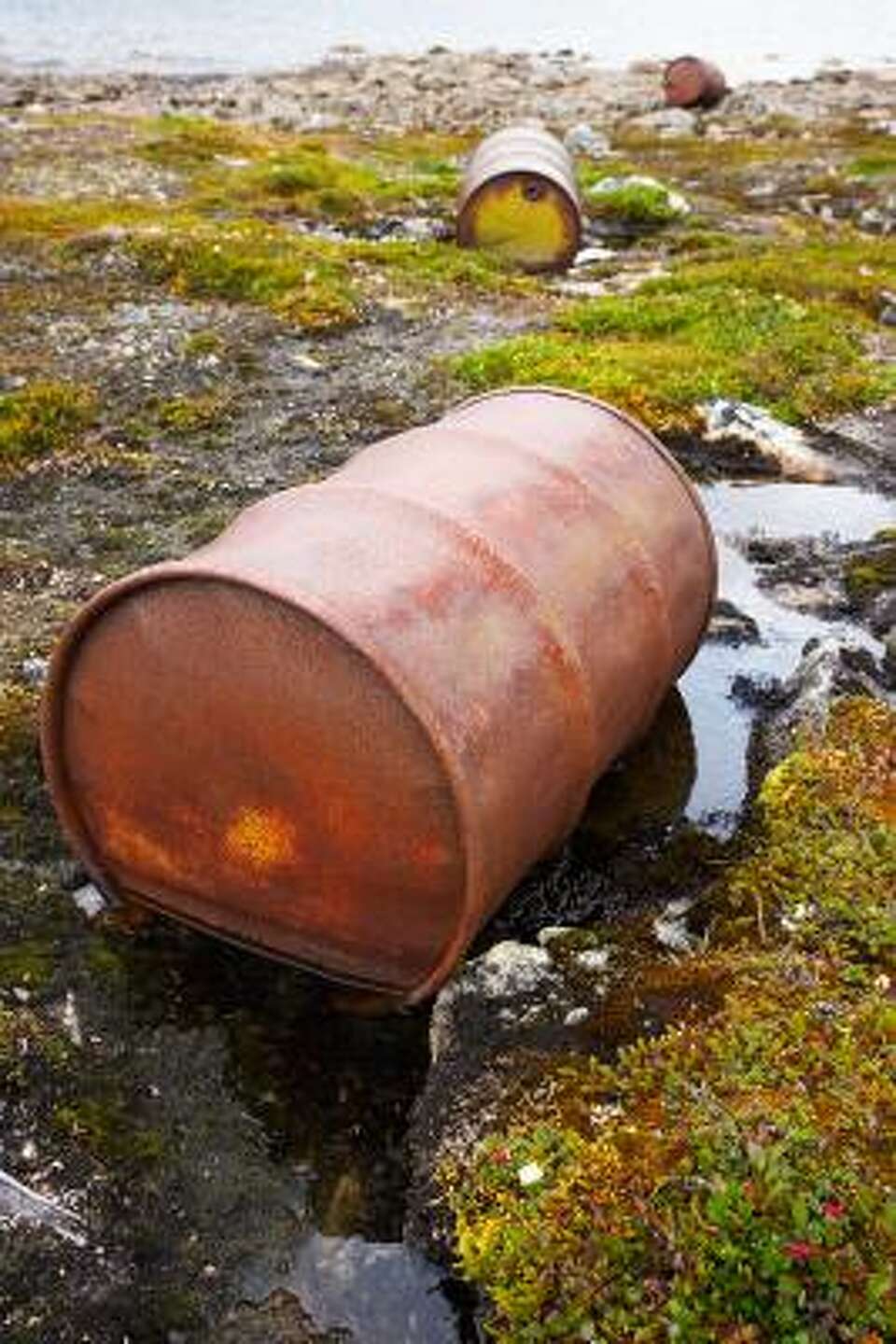Ecological Concerns That Affect the Tundra