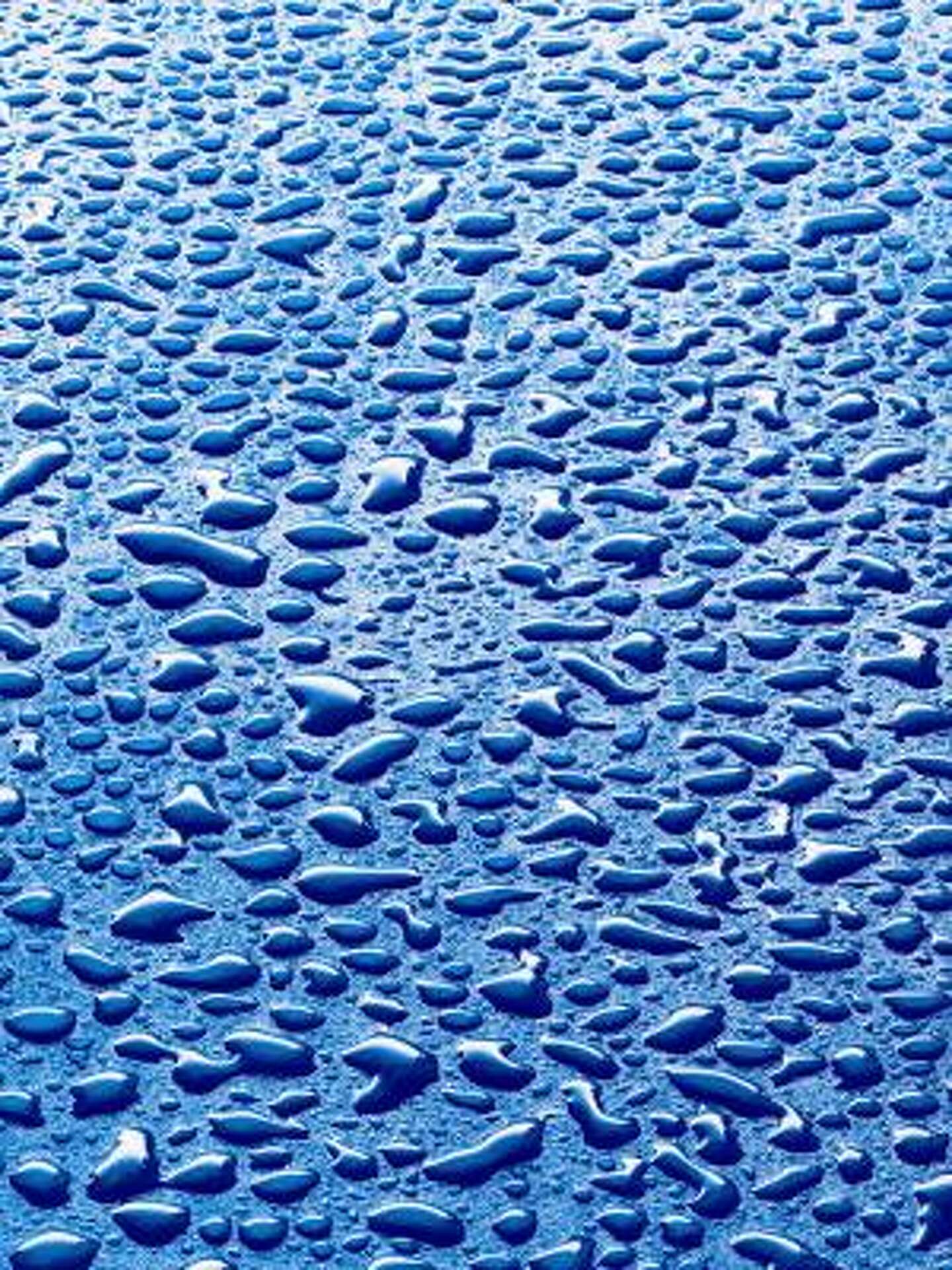 What Are the Four Factors That Influence Weather?