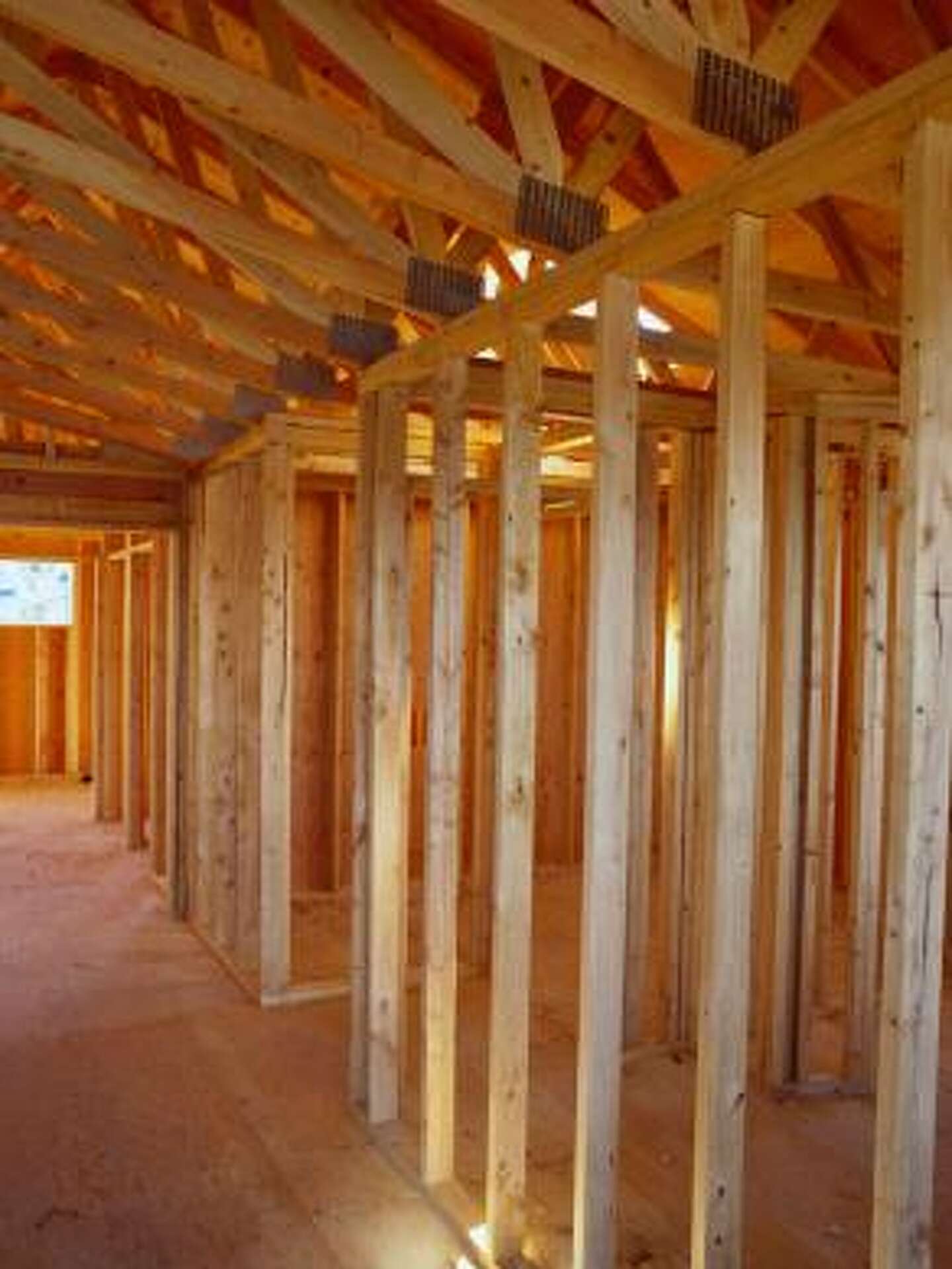 How the Plasma Membrane Controls What Goes Into & Comes Out of a Cell