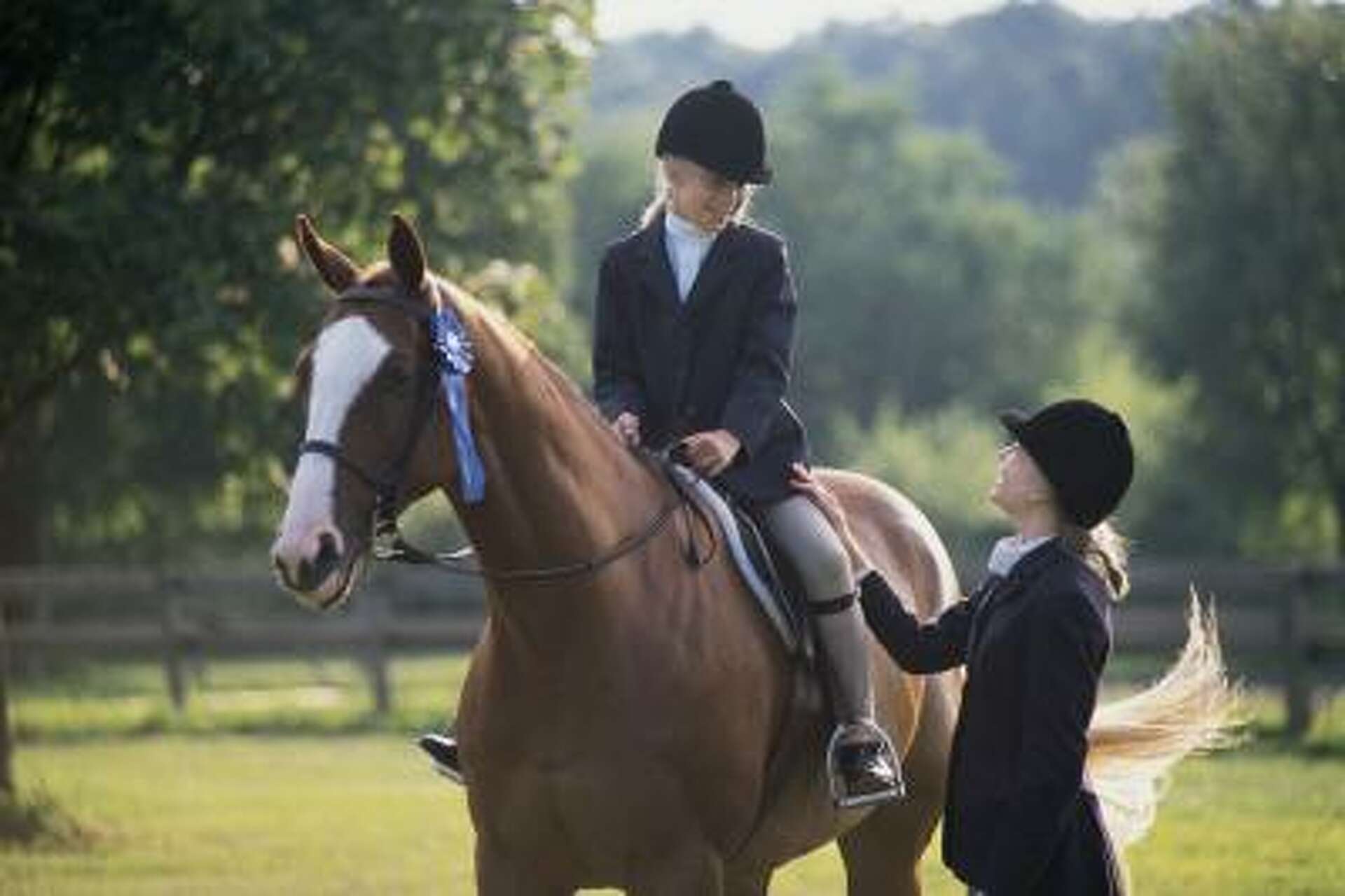 The Best Online Schools for a Bachelor of Science in Equine Studies