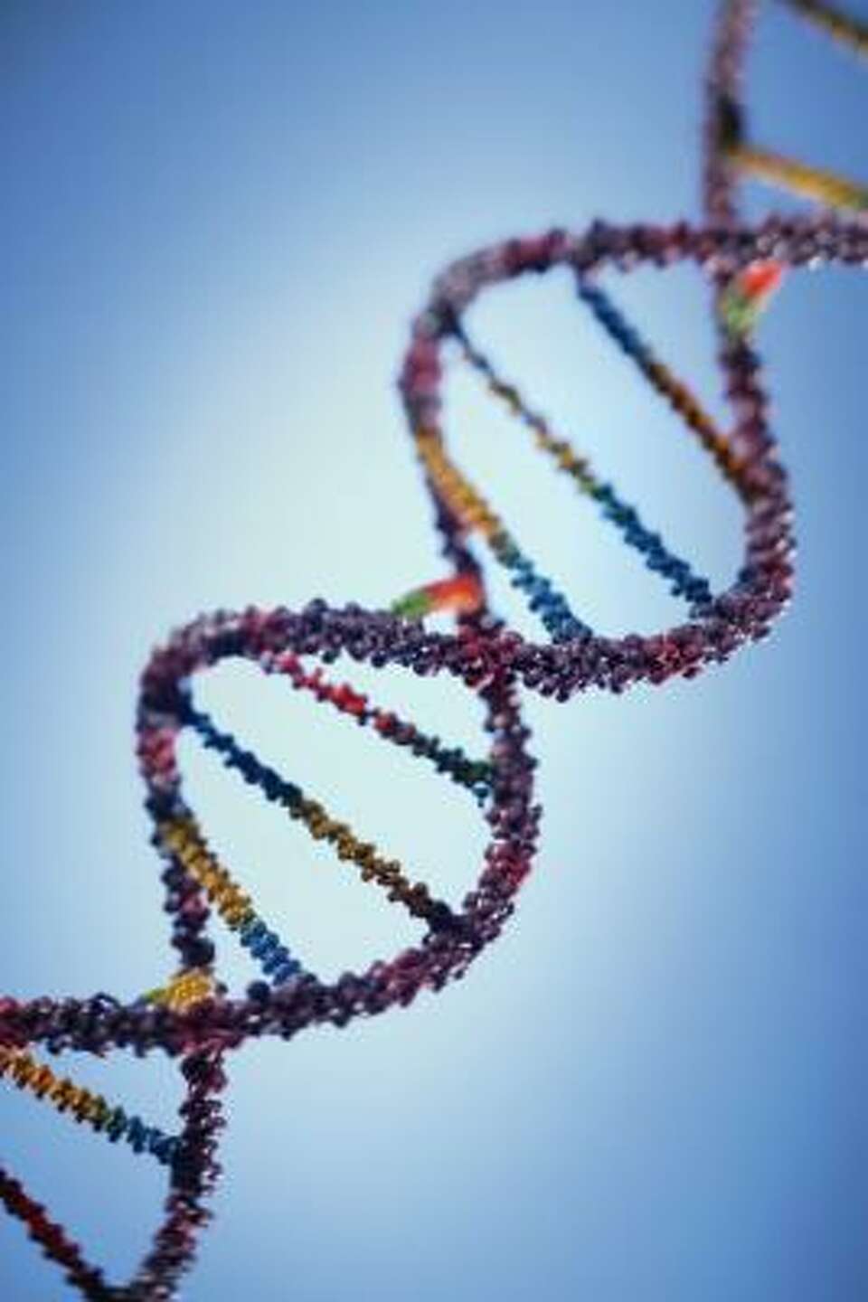 What Is Meant by the Statement "the Genetic Code Is Universal"?