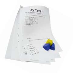 Elements of an IQ Test