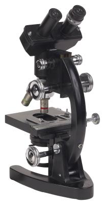 How to Estimate Size Under a Microscope