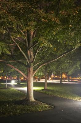 What Is an Epic Tale?