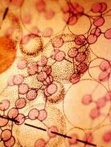 What Mutation Occurs When a Single Base Is Added or Deleted From DNA?