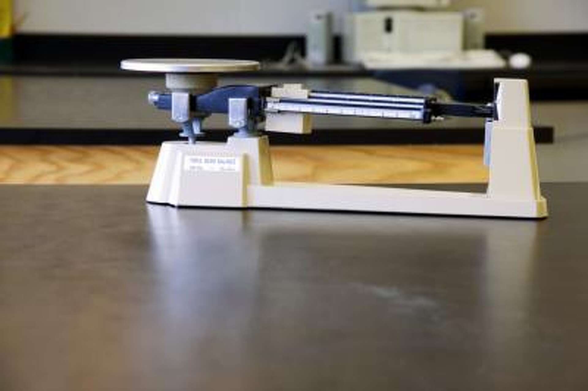 Mass Vs. Weight Lab Activities