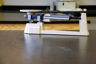 Mass Vs. Weight Lab Activities