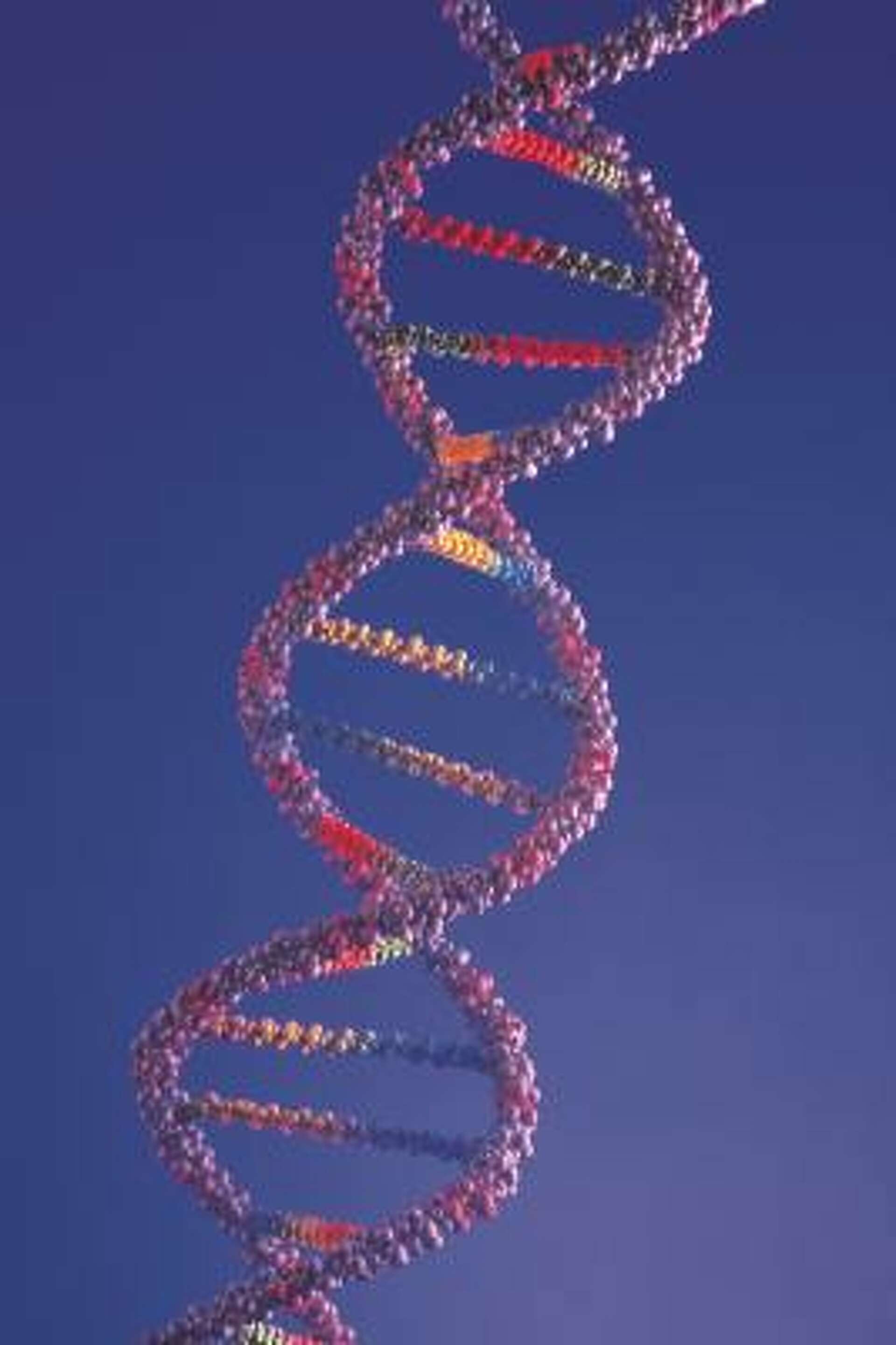 What Are the Relationships Between the Coding & Non-Coding Strands of DNA?