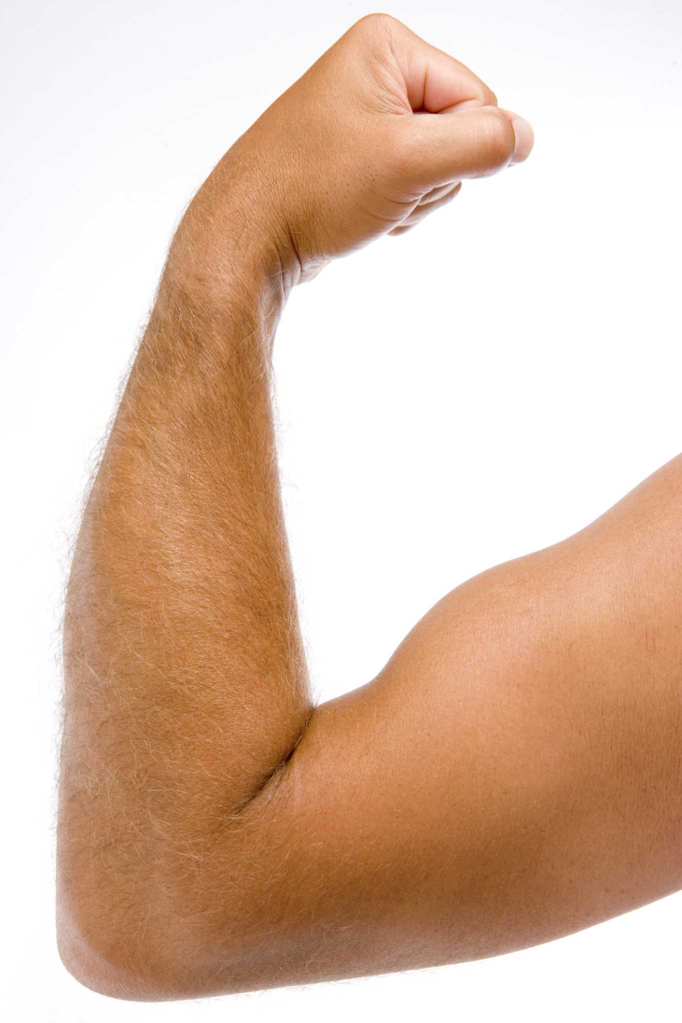 What Causes the Release of Calcium from the Endoplasmic Reticulum?