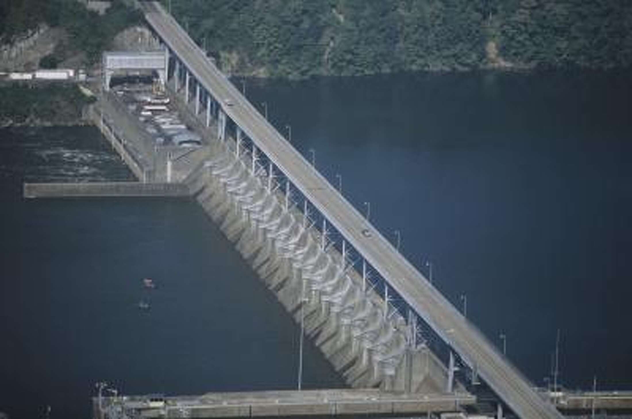 How Does the Cell Membrane Play a Role in Homeostasis?