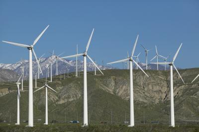 The Pros & Cons of Wind Energy to Solve Global Warming
