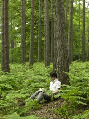 What Point of View Is Used in 'The Call of the Wild'?