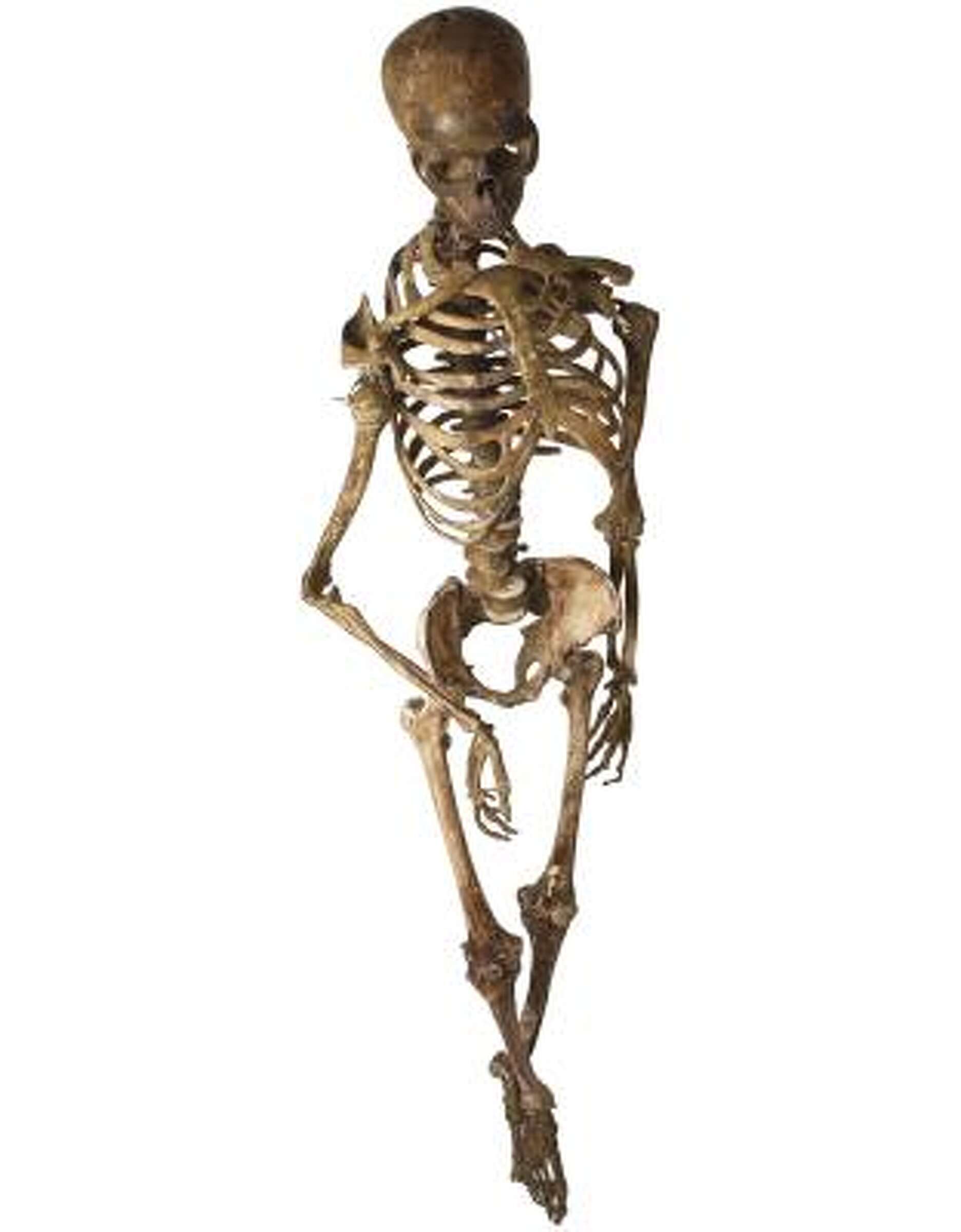 What Is the Difference Between Structure & Function as It Relates to ...