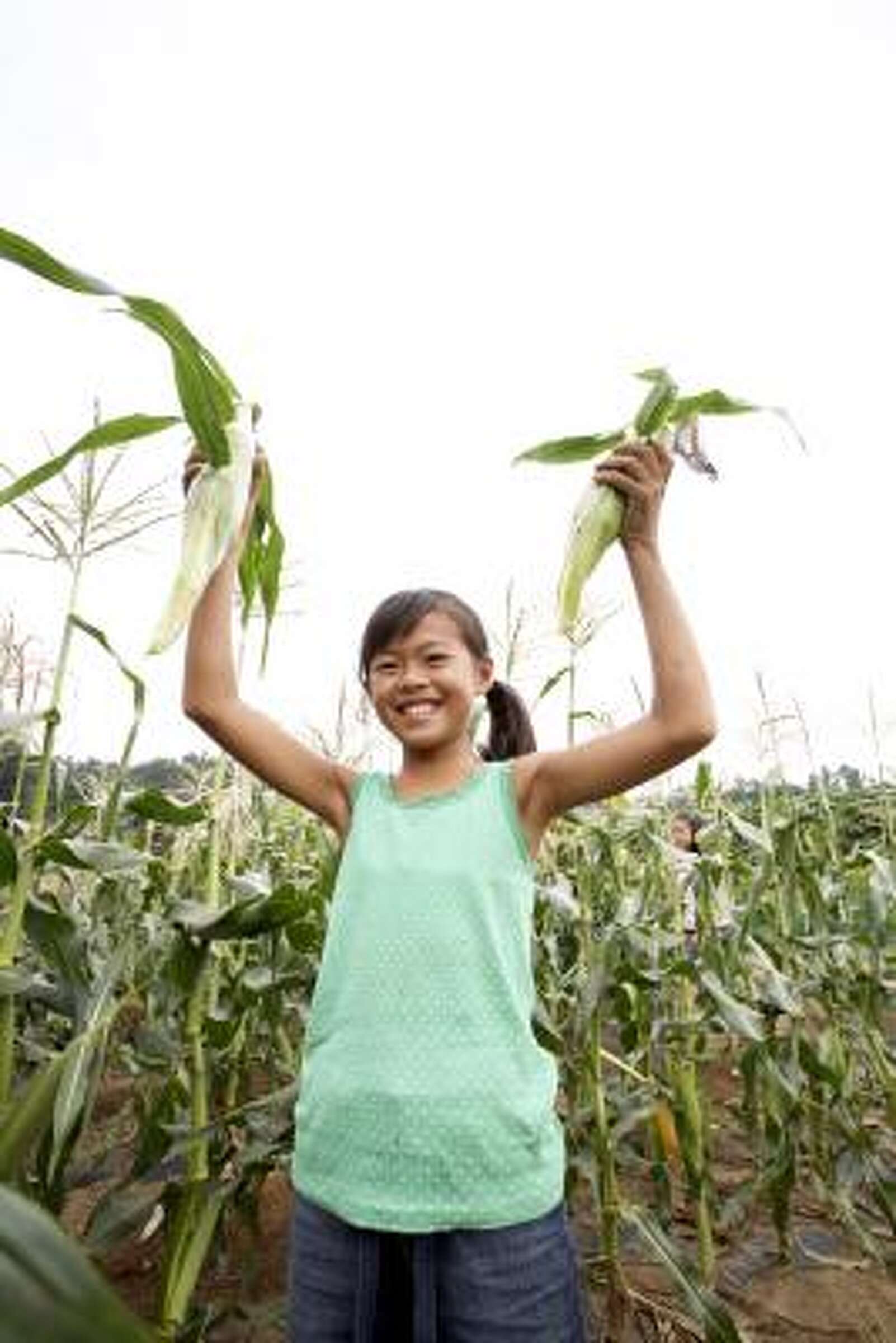 What Is the Difference Between Additive and Nonadditive Genetic Patterns?