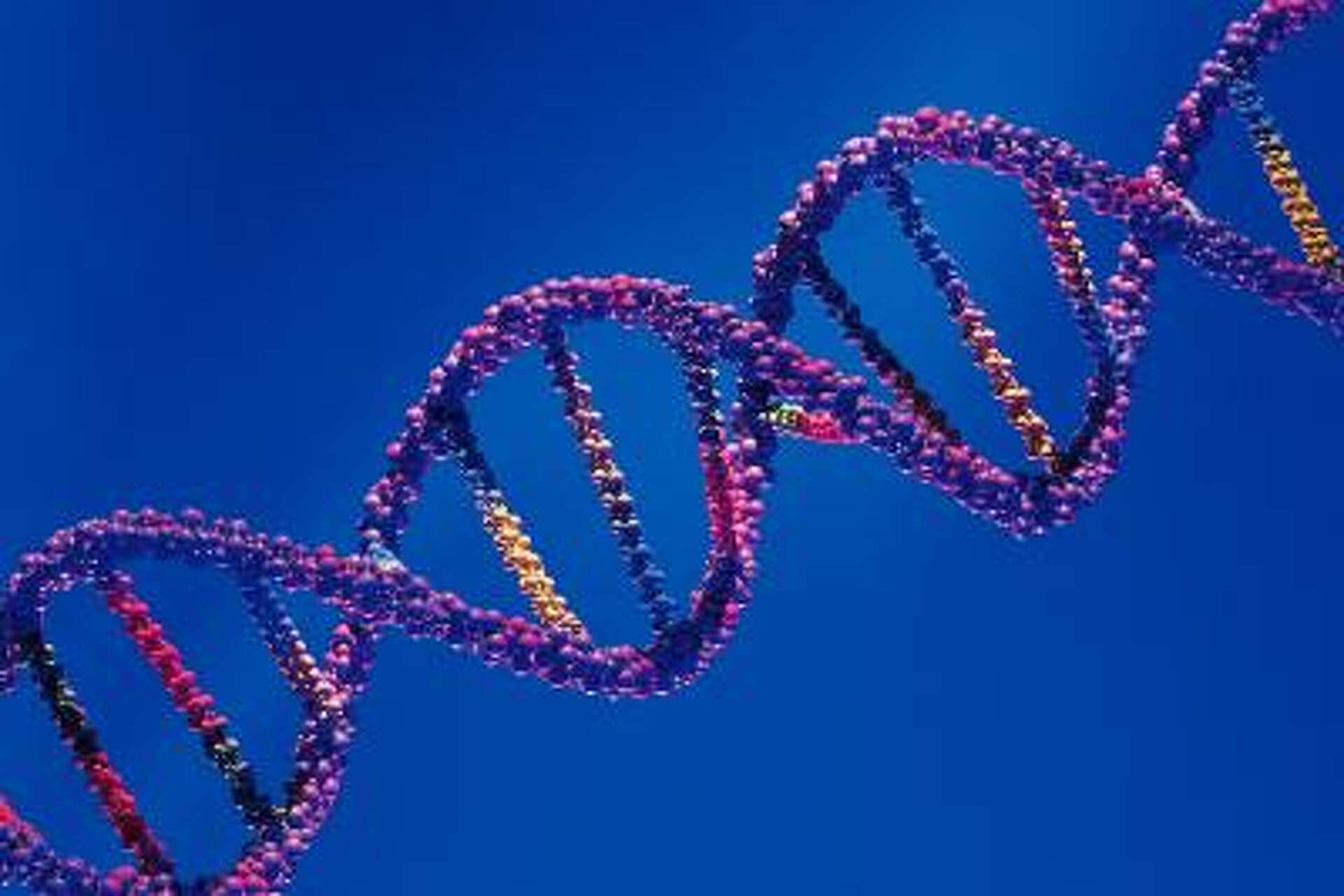 Three Elements of Nucleotides of DNA