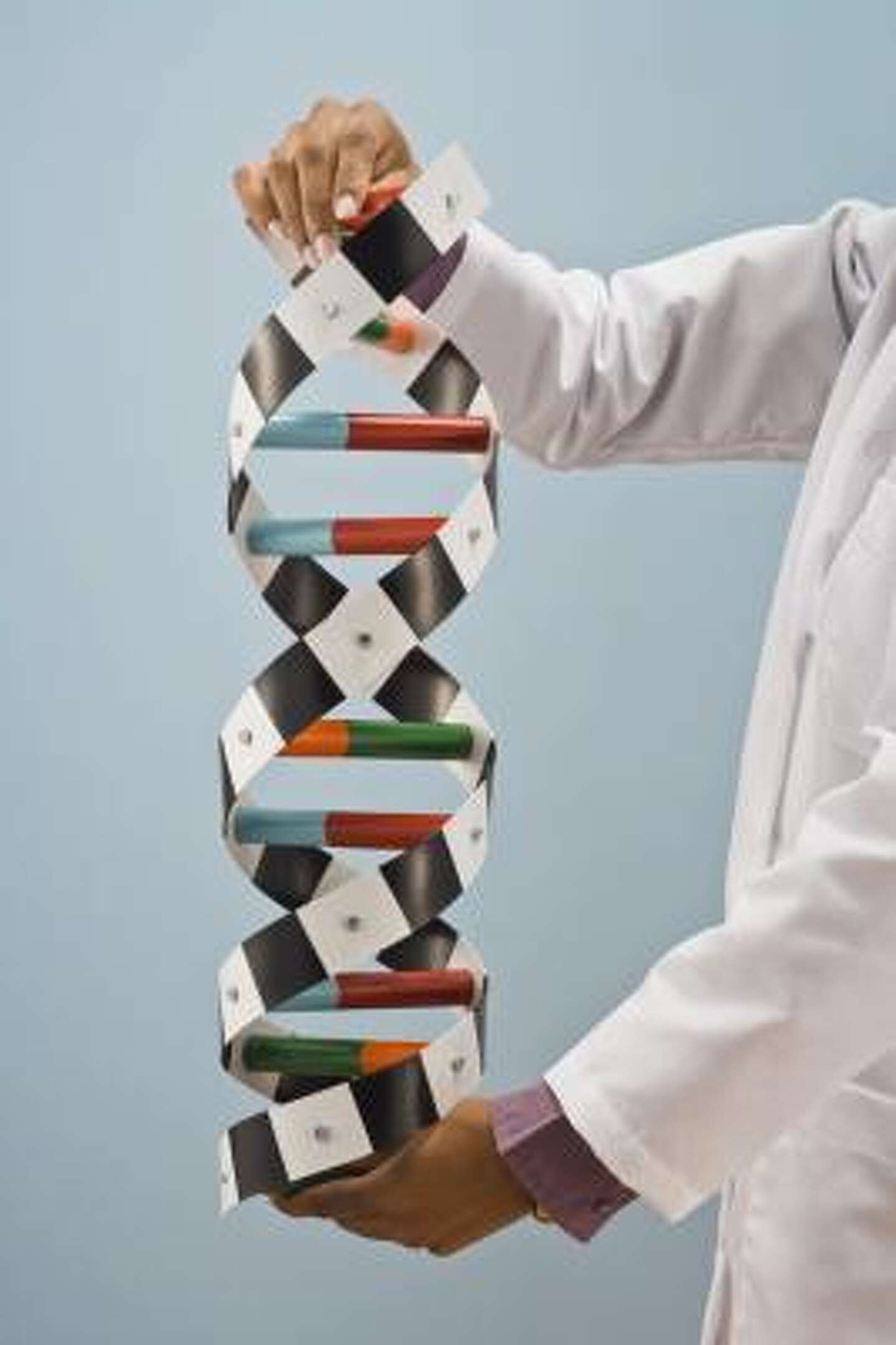 How Does a DNA Molecule Split When It Needs to Be Copied?