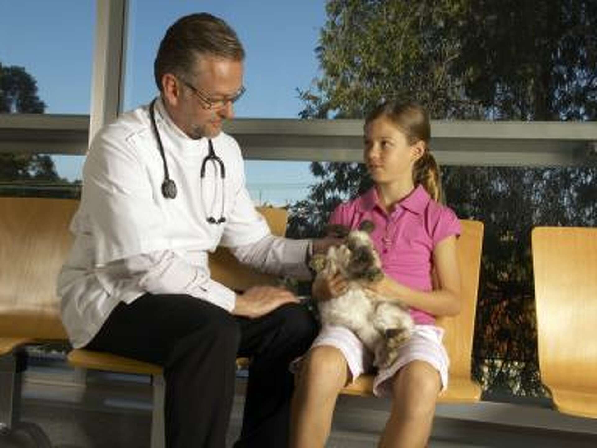 What Is the Difference Between a Ph.D. in Veterinary Science & a D.V.M.?