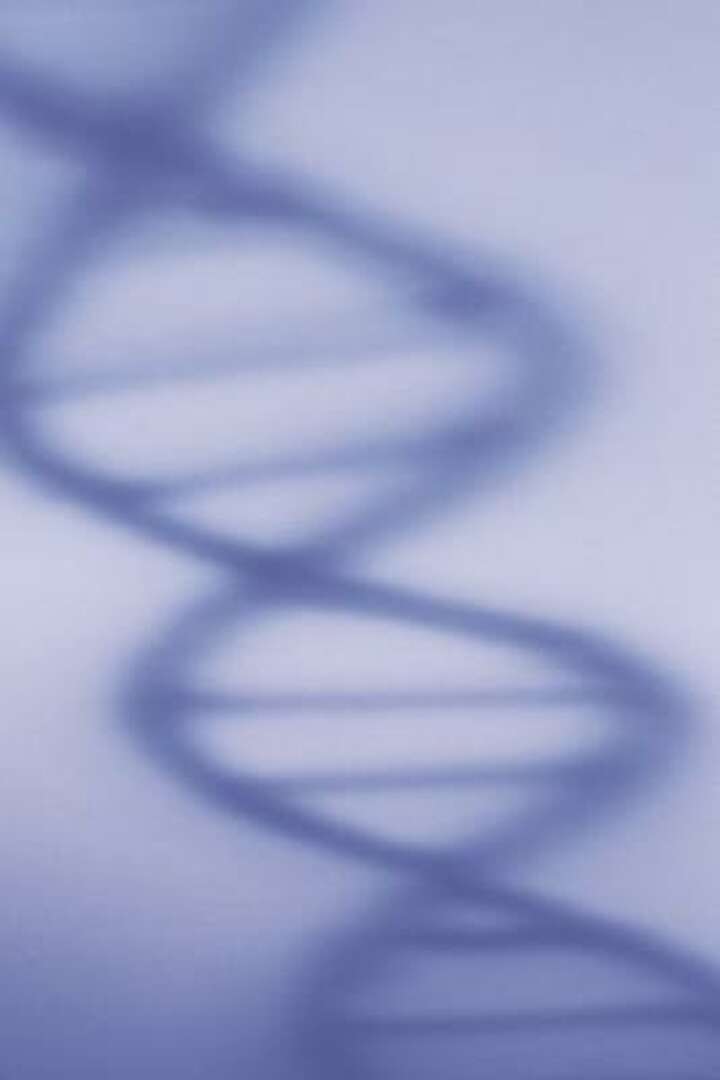 What Is the Difference Between Continuous and Discontinuous DNA Synthesis?