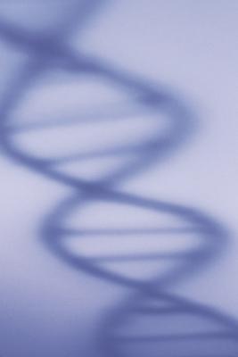 What Is the Difference Between Continuous and Discontinuous DNA Synthesis?