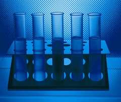 Examples of a Double Blinded Study Experiment