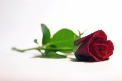 Examples of Symbolism in the Story "A Rose for Emily"