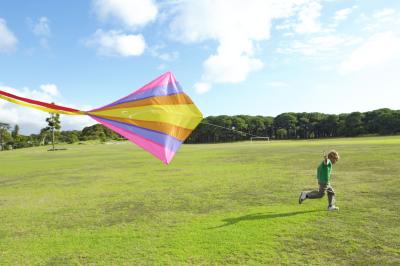 Examples of Symbolism in "The Kite Runner"